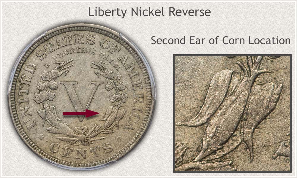 How to Identify a Liberty Nickel in Extremely Fine Grade | Visual Grading Metrics